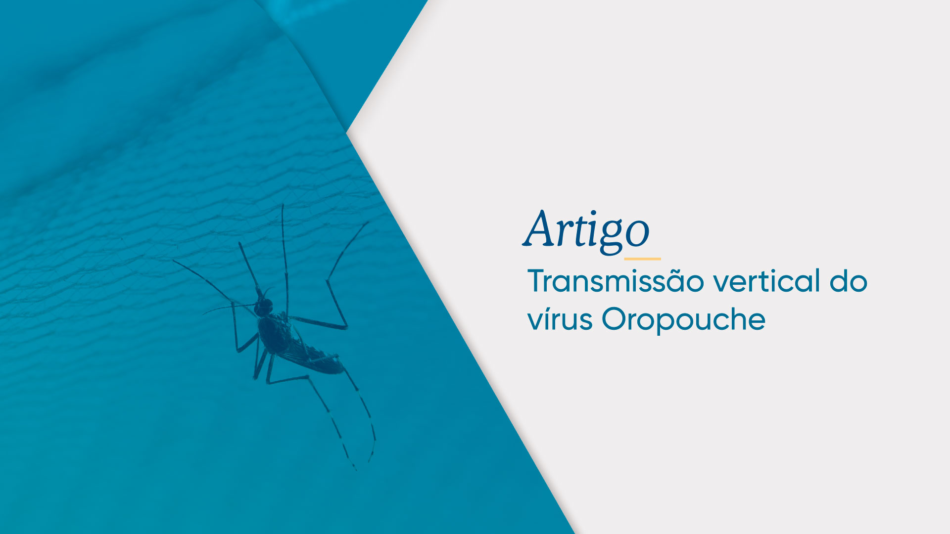 Transmissão vertical do vírus Oropouche (OROV) e suas implicações para ...
